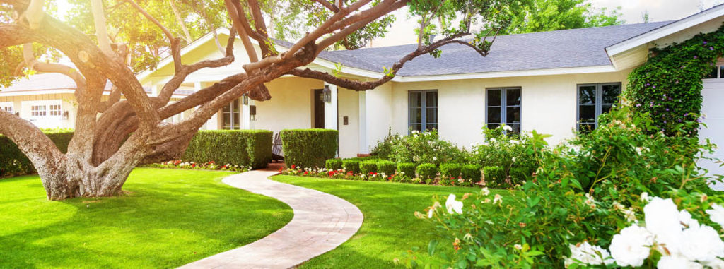 Home Protector Insurance | Affordable Homeowners Insurance